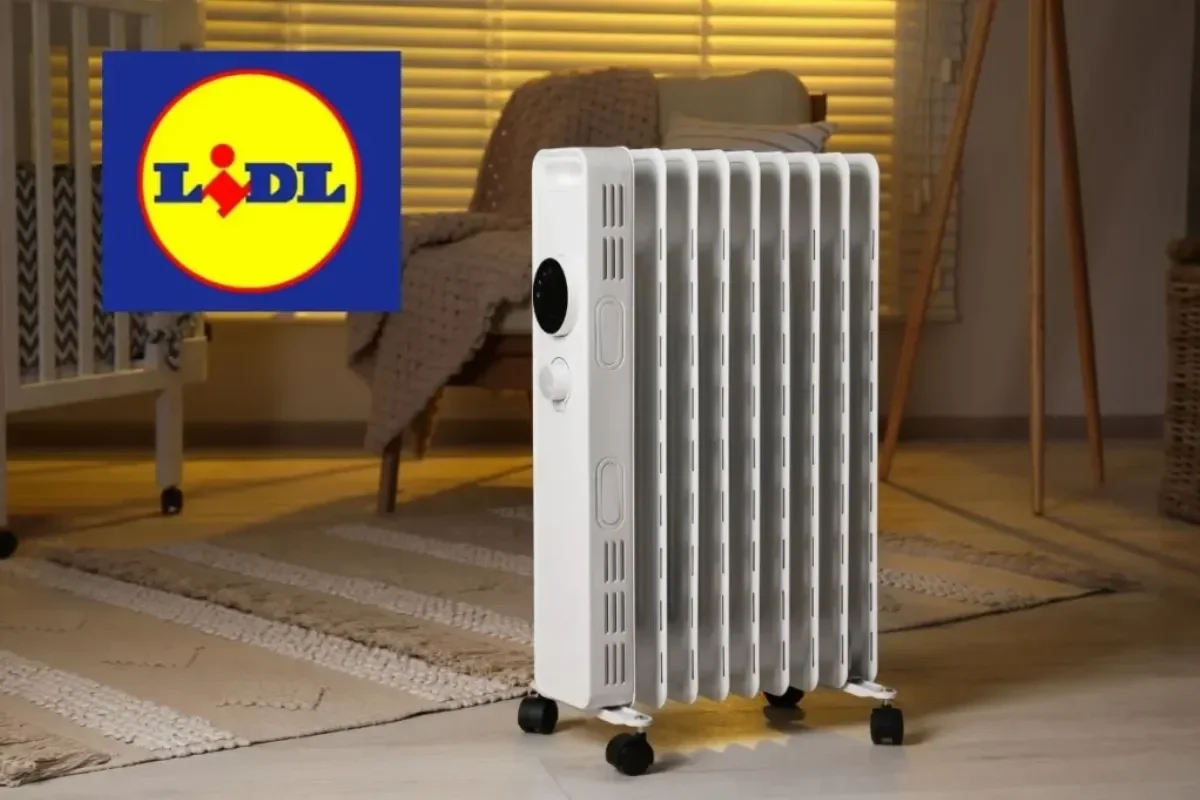 Lidl Chauffage Reversible
